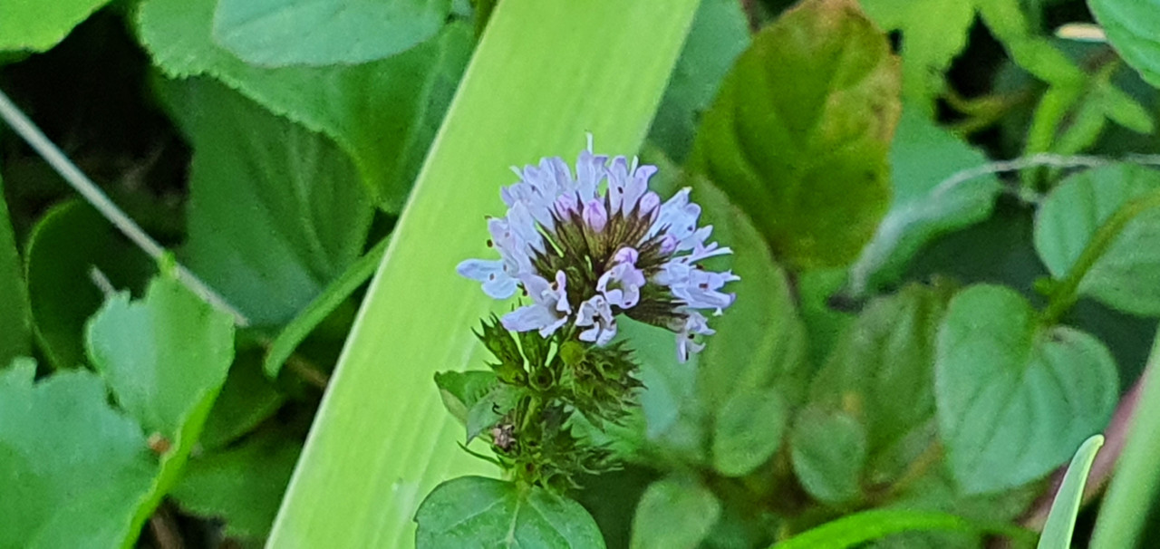 20220918 173201 — Postimages