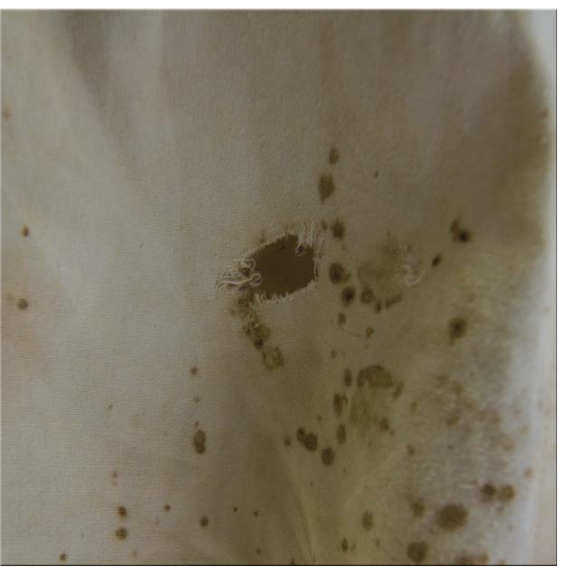 The Tumbling Bullet Theory - JFK Assassination Debate - The Education Forum