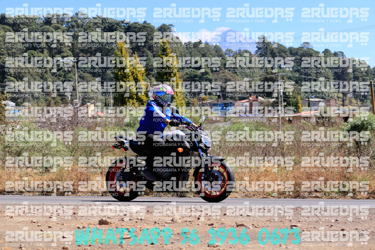 MG 1032 — Postimages