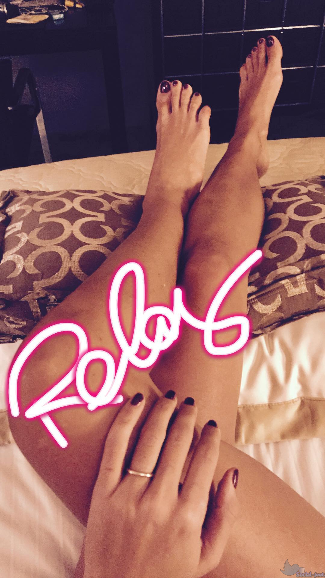 Cat Bal181216122 — Postimages