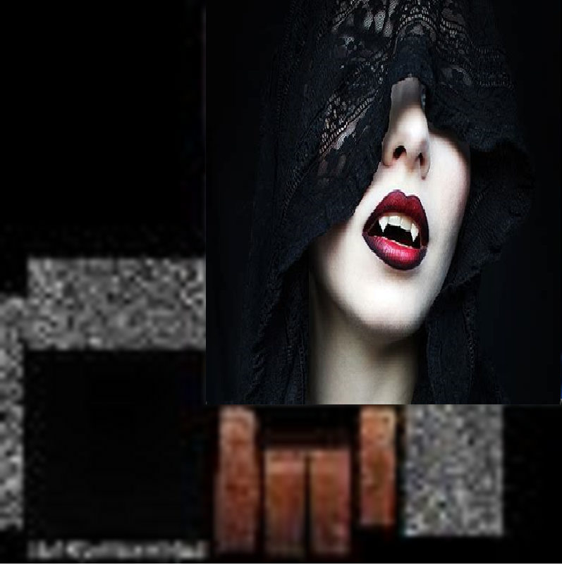 vamp bed 2 — Postimages