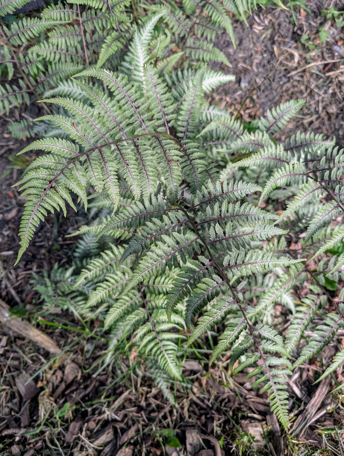 PXL 20240831 090336412 MP 2 — Postimages