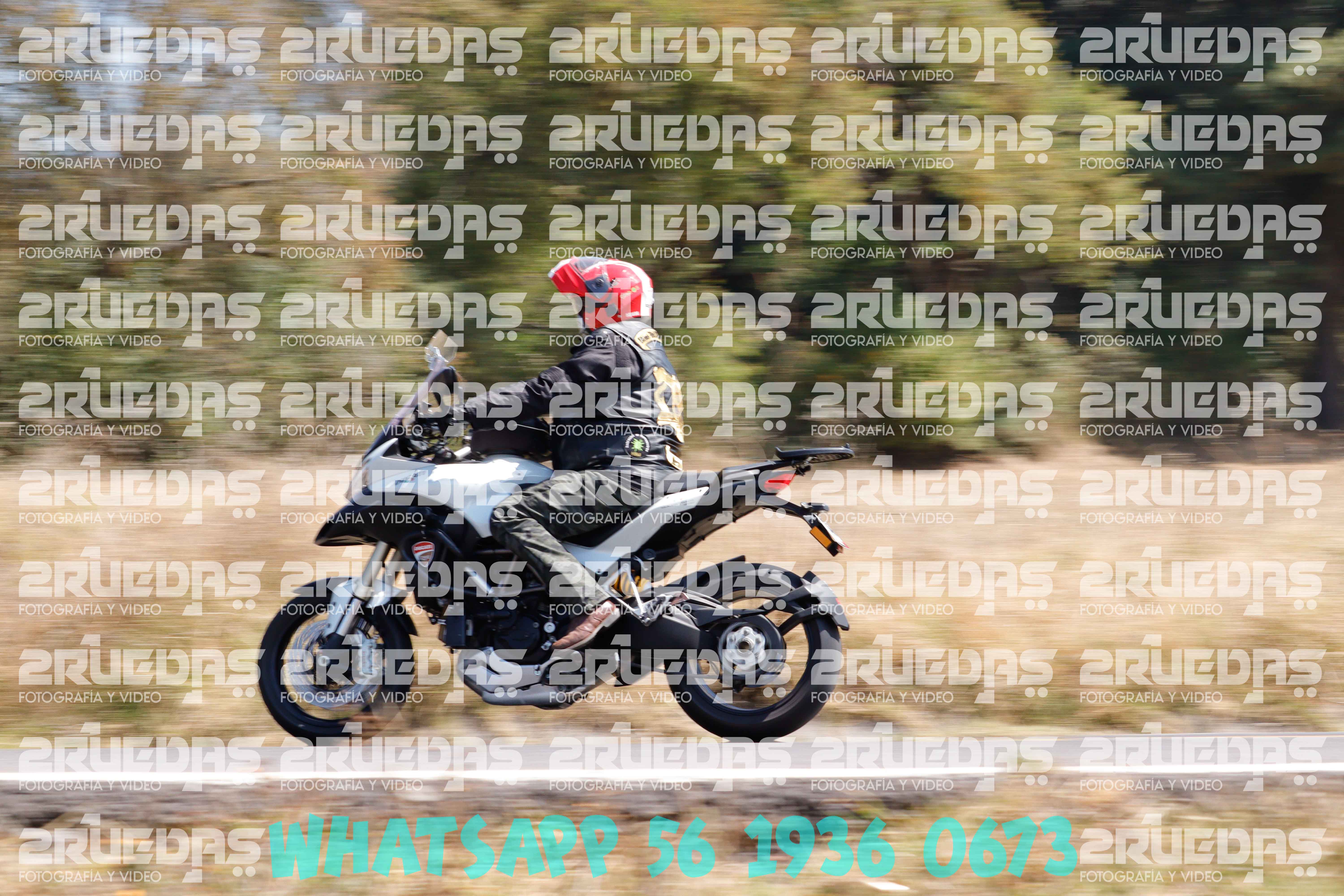 MG 0826 — Postimages