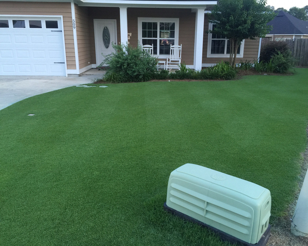 Image — Postimages