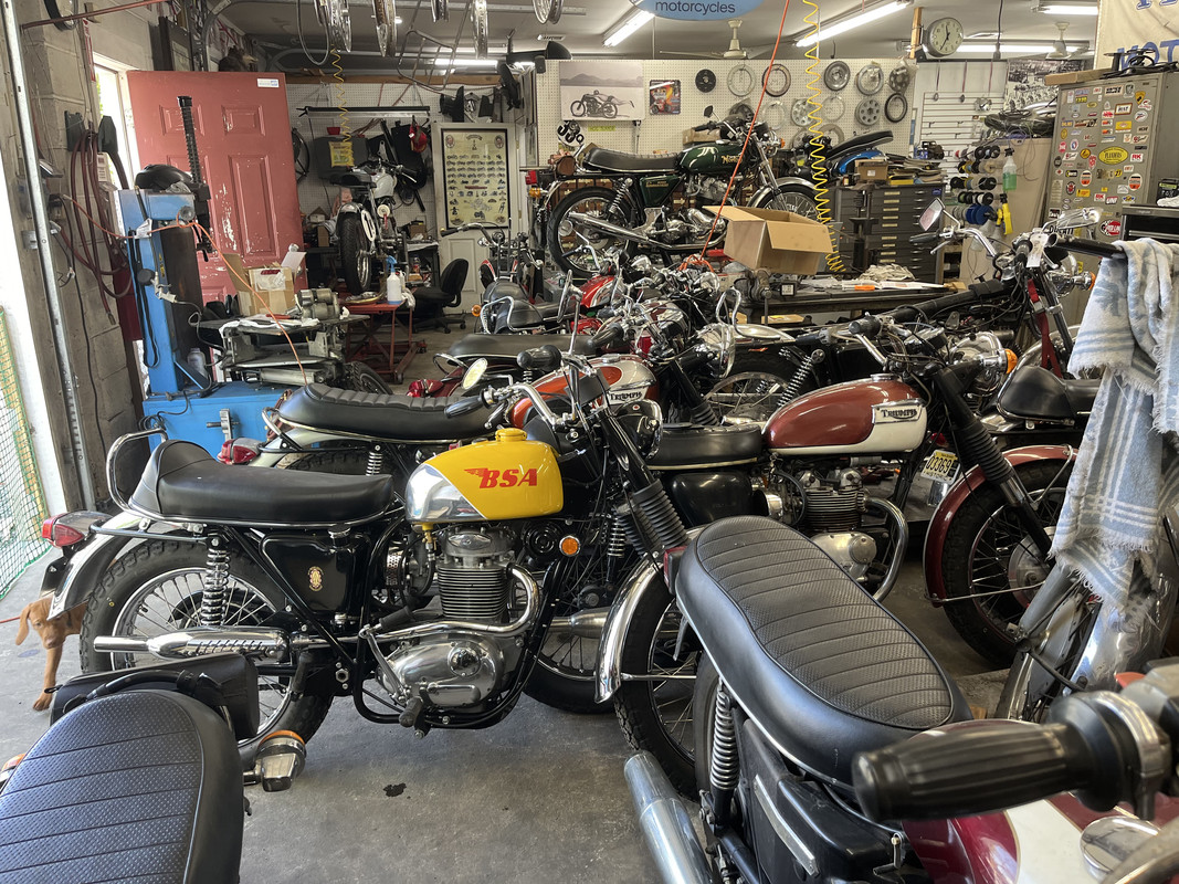 IMG 3115 — Postimages