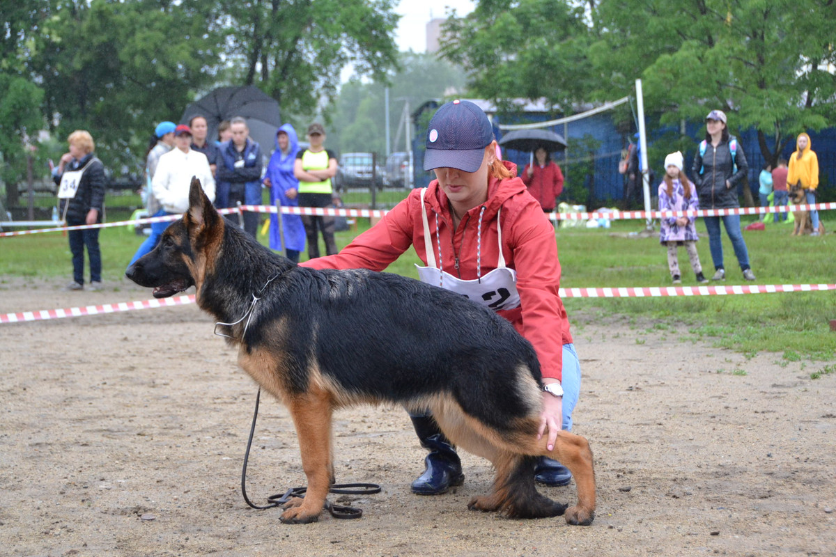 DSC 0076 — Postimages