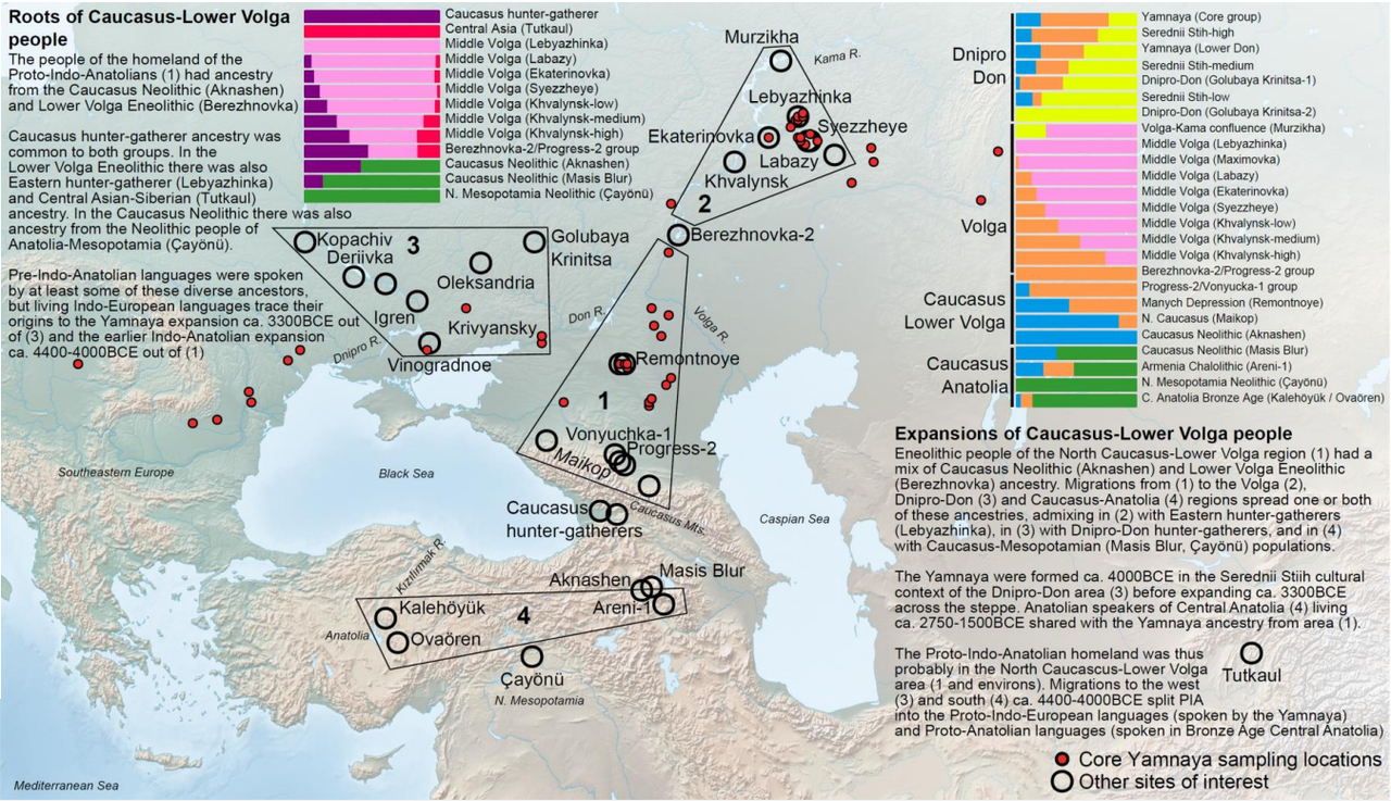 The Genetic Origin of the Indo-Europeans / A genomic history of the ...