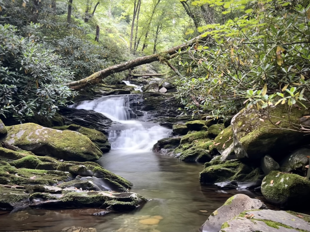 IMG 0775 — Postimages