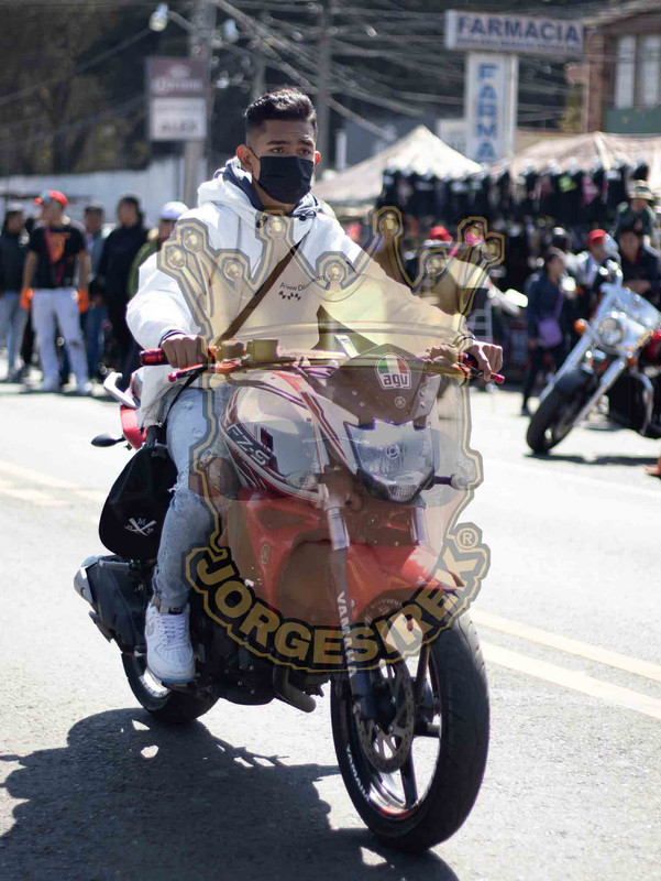 IMG 3261 — Postimages