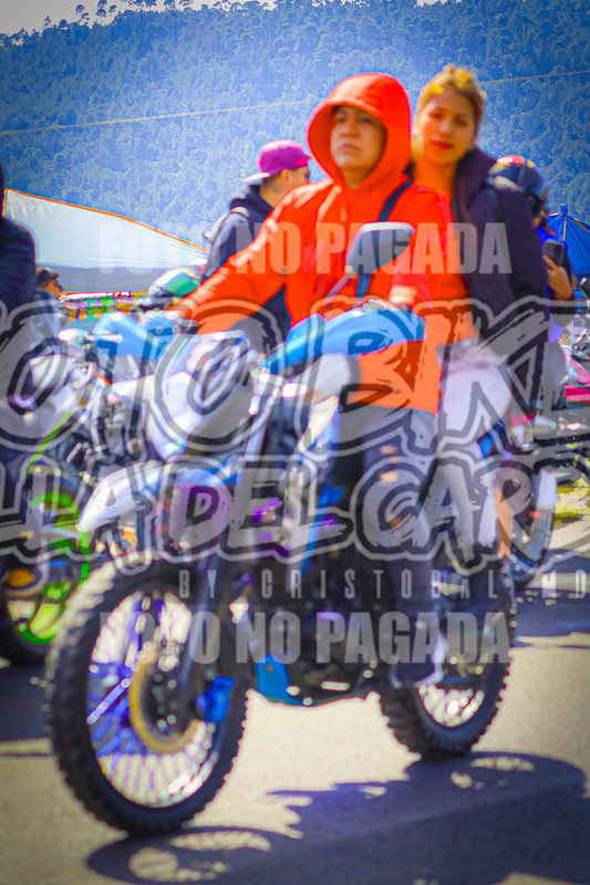 PL2 2001 — Postimages