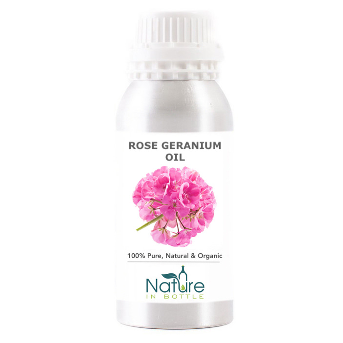 Rose Geranium Essential Oil Organic - Pelargonium Roseum