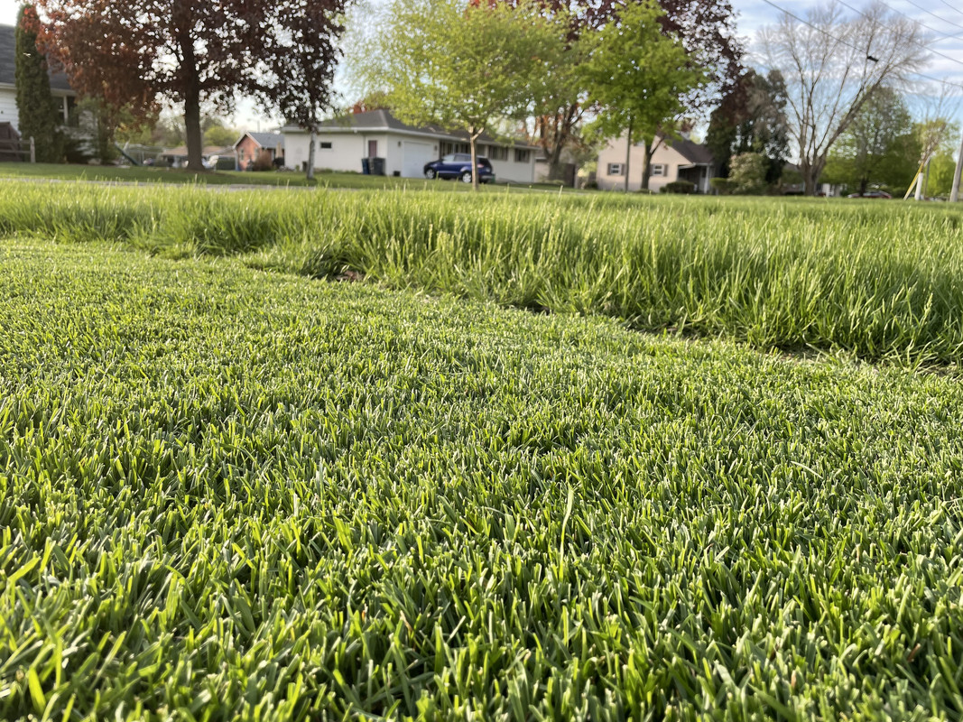 IMG 1602 — Postimages