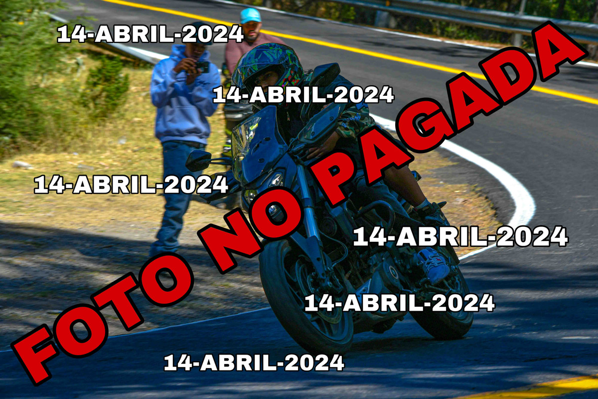 CC 2954 — Postimages