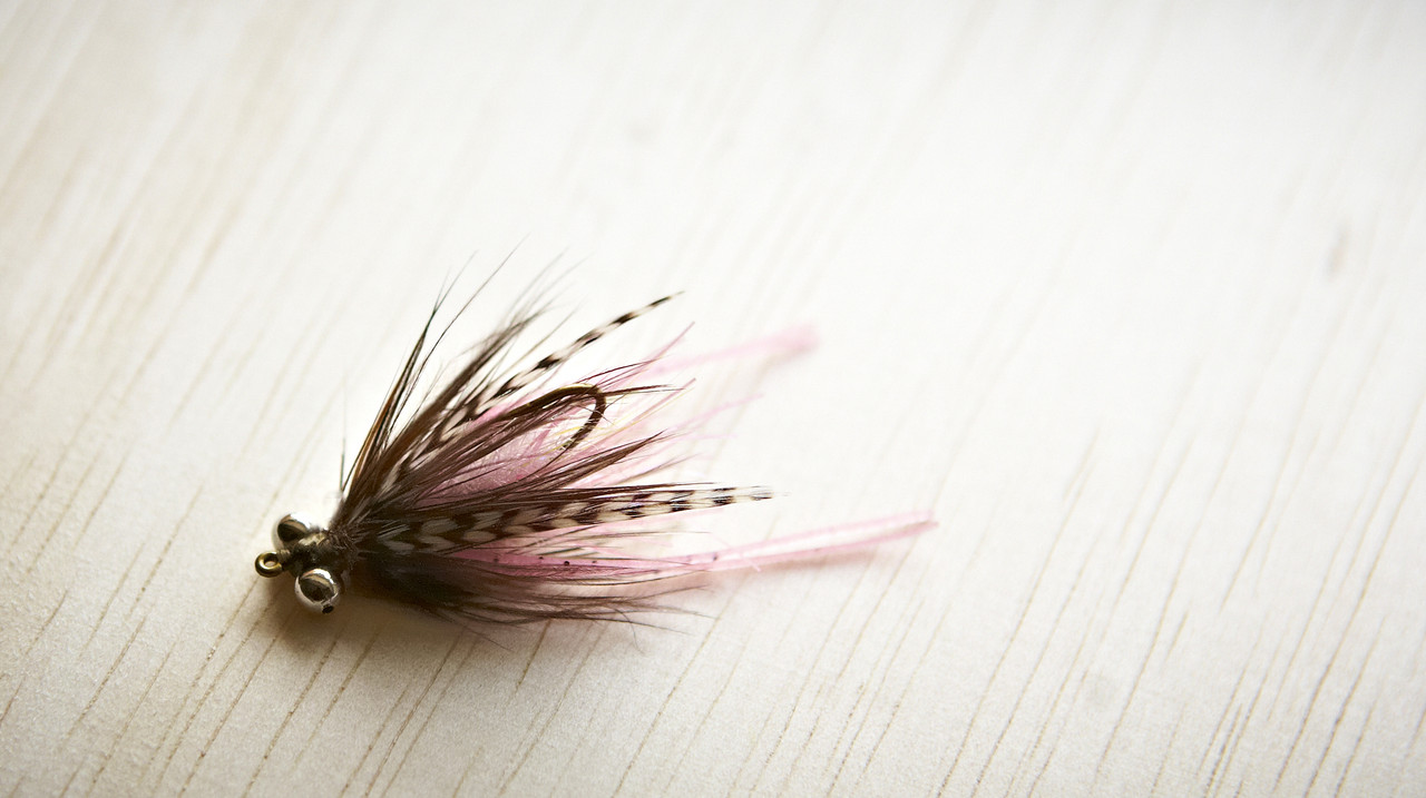 trout spey fly0019 1 — Postimages