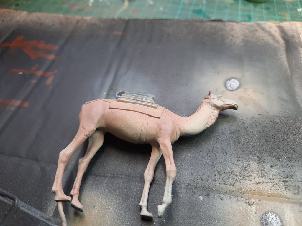 1/35 Camel and rider - Figure Work In Progress - Britmodeller.com