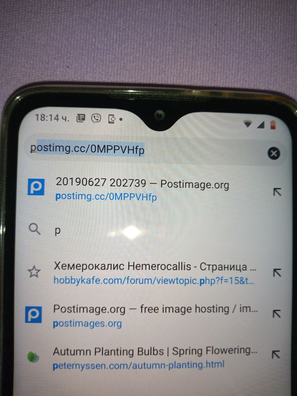 IMG 603a7345c68f7b0310aef1c5bcc89015 V — Postimages