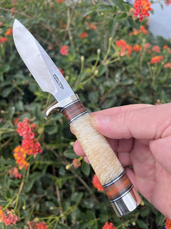 IMG 3199 — Postimages