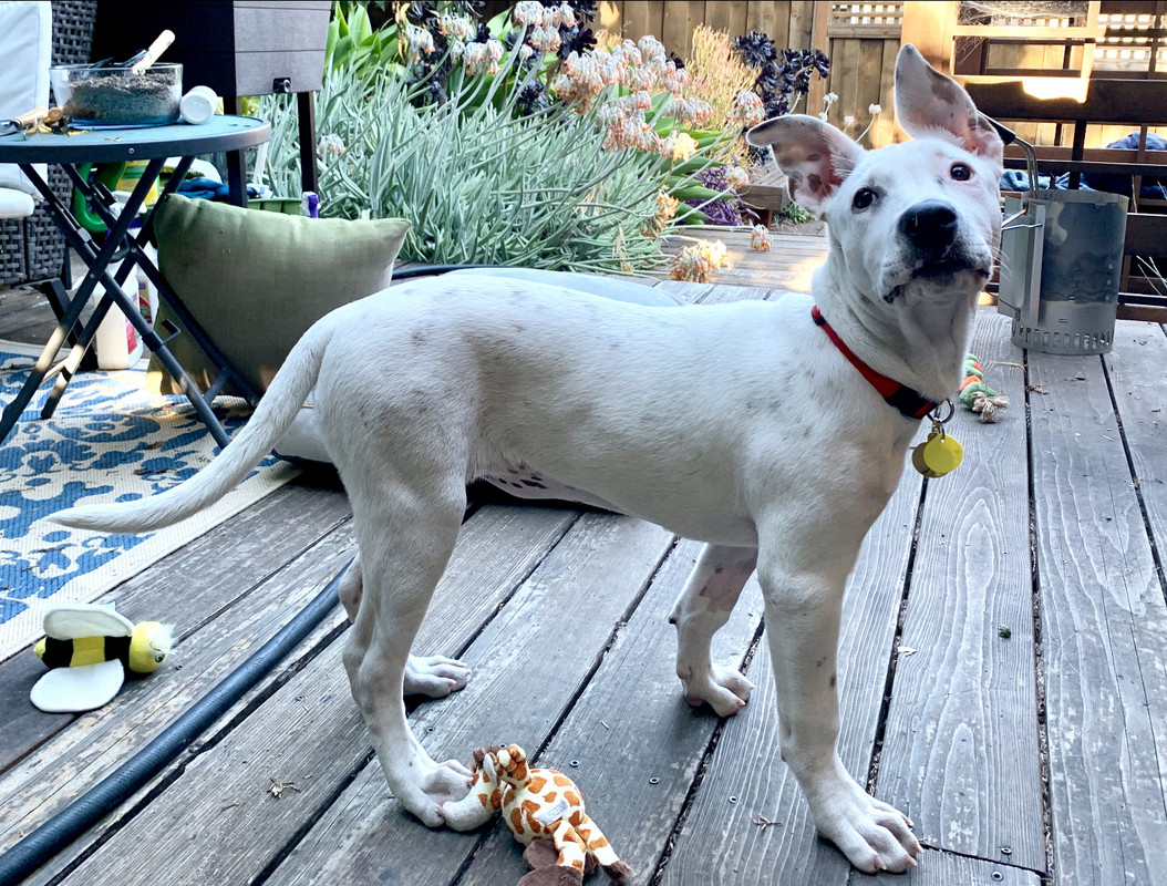 D4 B76 F53 3 C24 45 D4 9941 F2 D7 C4 B2 CCCC — Postimages