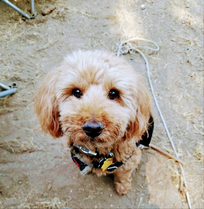 Album — Postimages