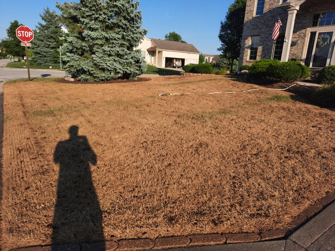 Blspeak's Fall Renovation (Playmaker mix, 80% TTTF, 10% KBG, 10% PRG ...