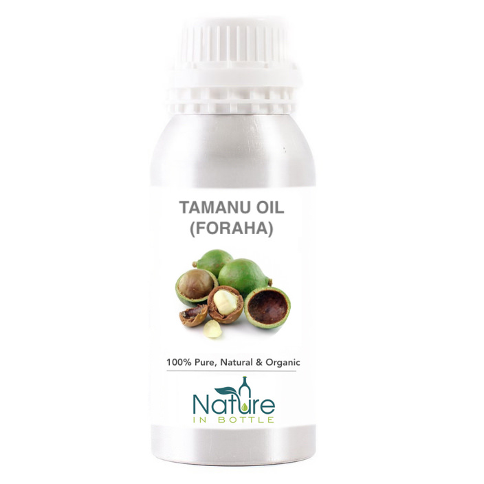 Tamanu Oil Organic - Foraha Oil - Calophyllum Inophyllum