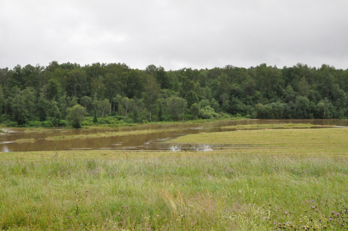 DSC 0587 — Postimages