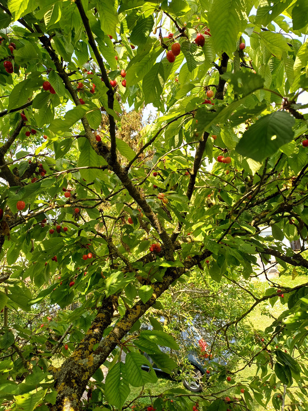 20240520 120054 — Postimages