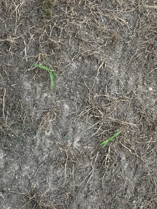 IMG 4163 — Postimages