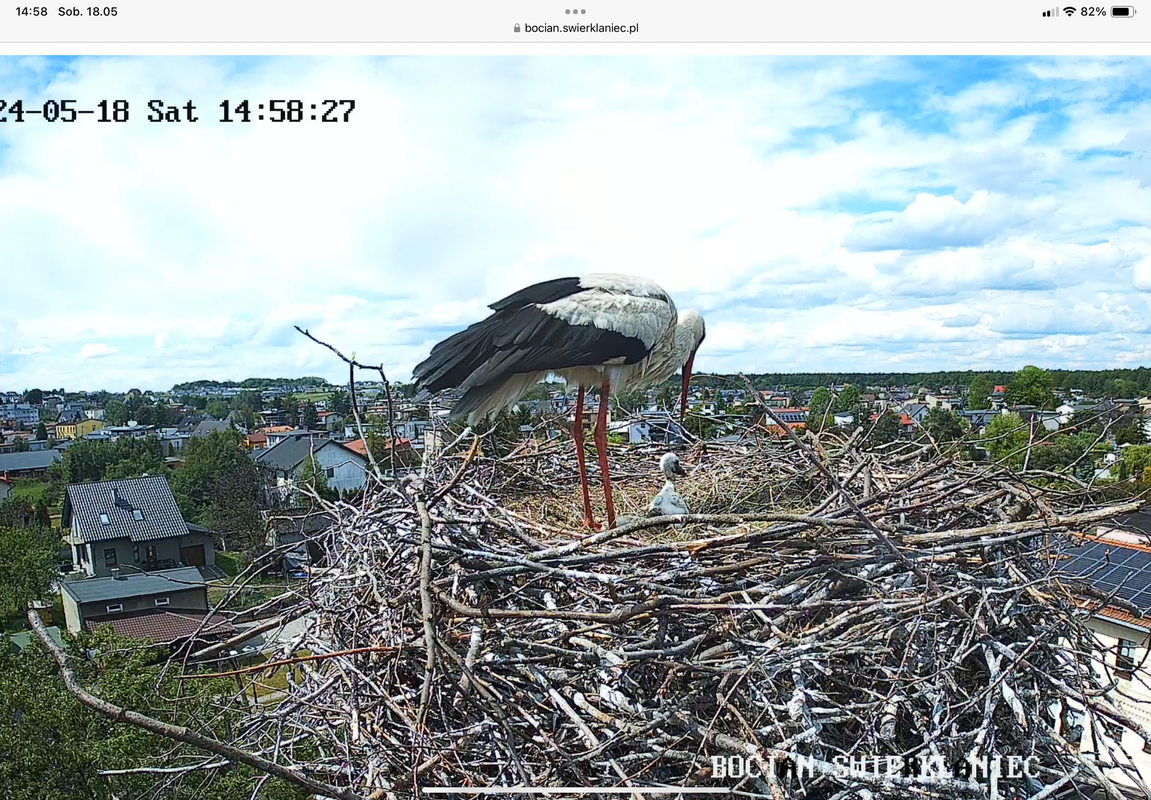 IMG 1002 — Postimages