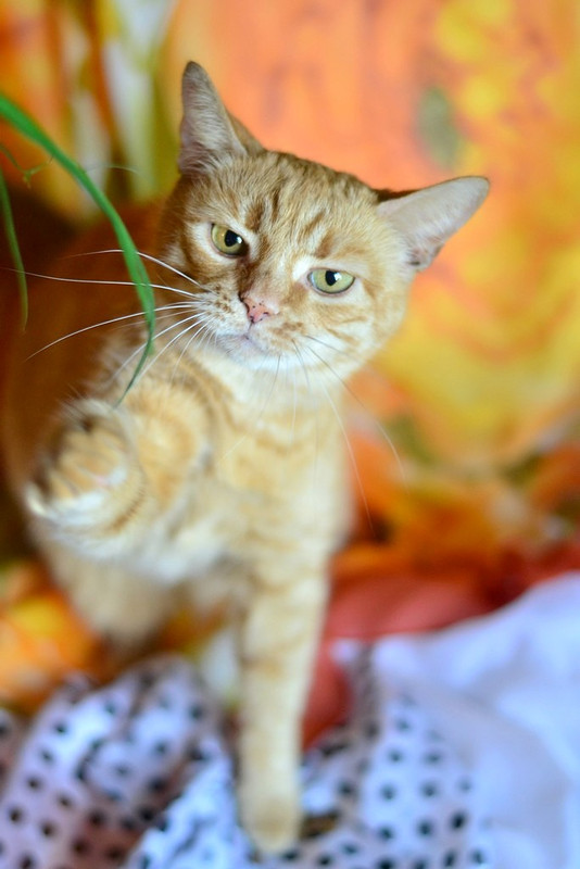 DSC 3798 — Postimages