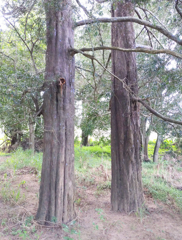 Imagepipe 1179 — Postimages