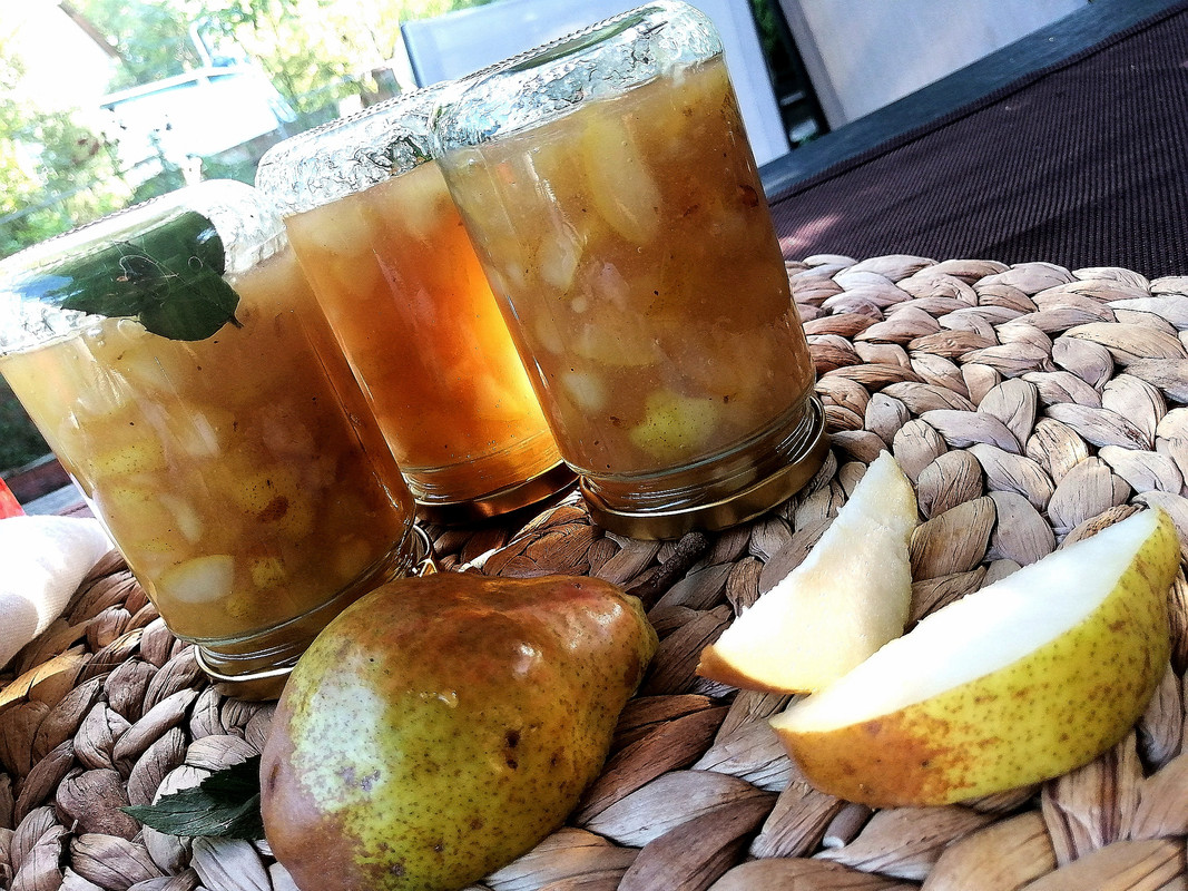 IMG 20200823 175005 — Postimages