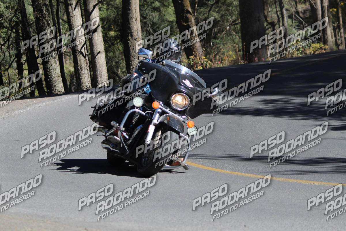 IMG 3292 wm 178921 watermarked — Postimages