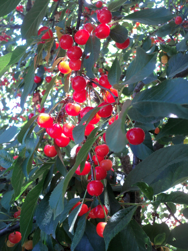 DSC07805 — Postimages