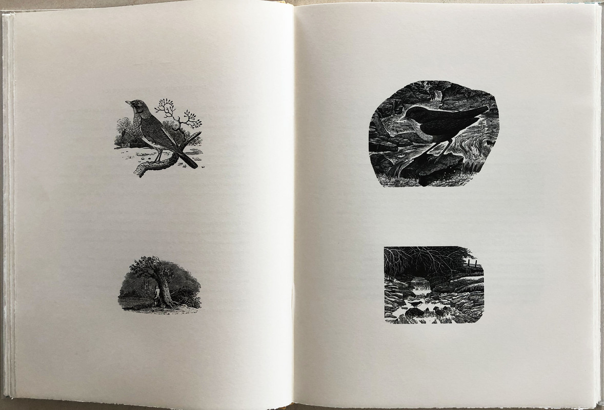 2020 Vision compiled by Nigel Hamway – NOMAD LETTERPRESS | Fine Press ...