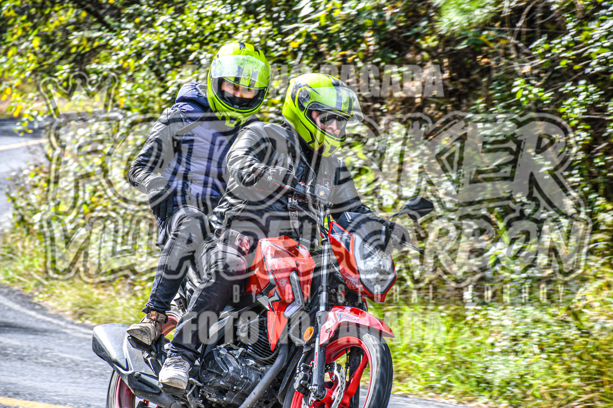 c1p1 141 — Postimages