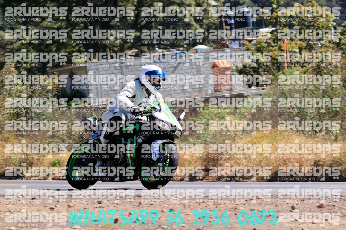 MG 0559 — Postimages