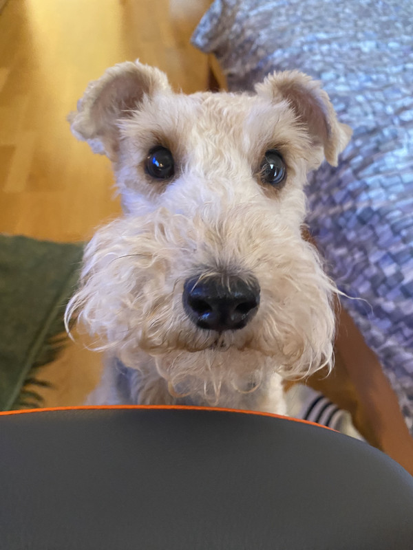 IMG 3498 — Postimages