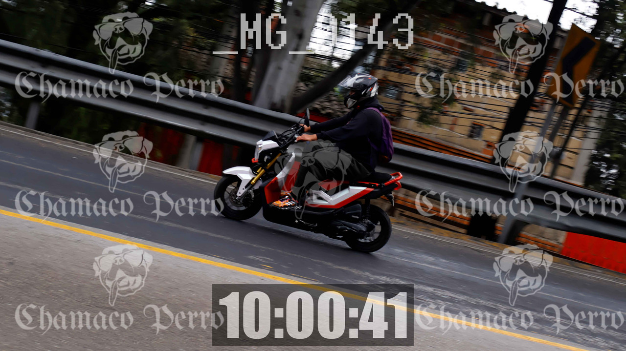 MUESTRA MG 0143 — Postimages