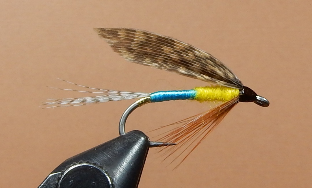 Toodle Bug - Fly Tying - Maine Fly Fish