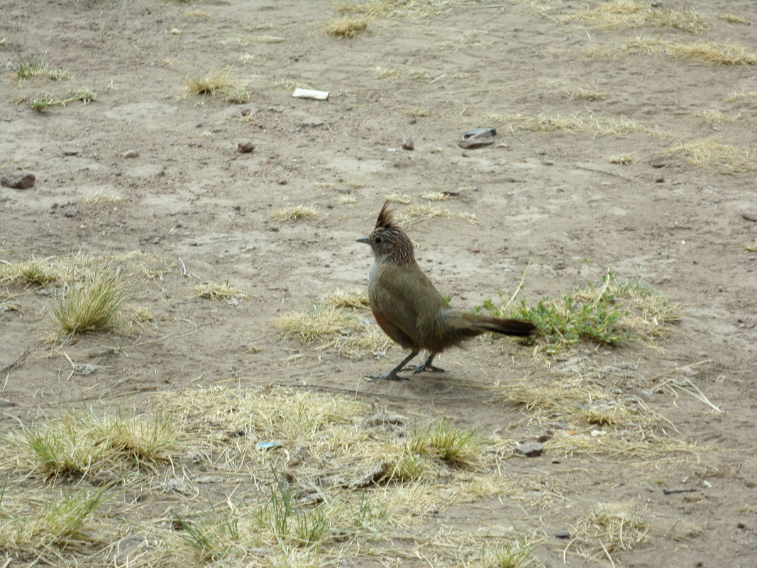 103 0856 — Postimages