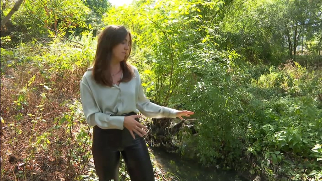 BBC London News 20220827 18501855 ts snapshot 07 20 282 — Postimages