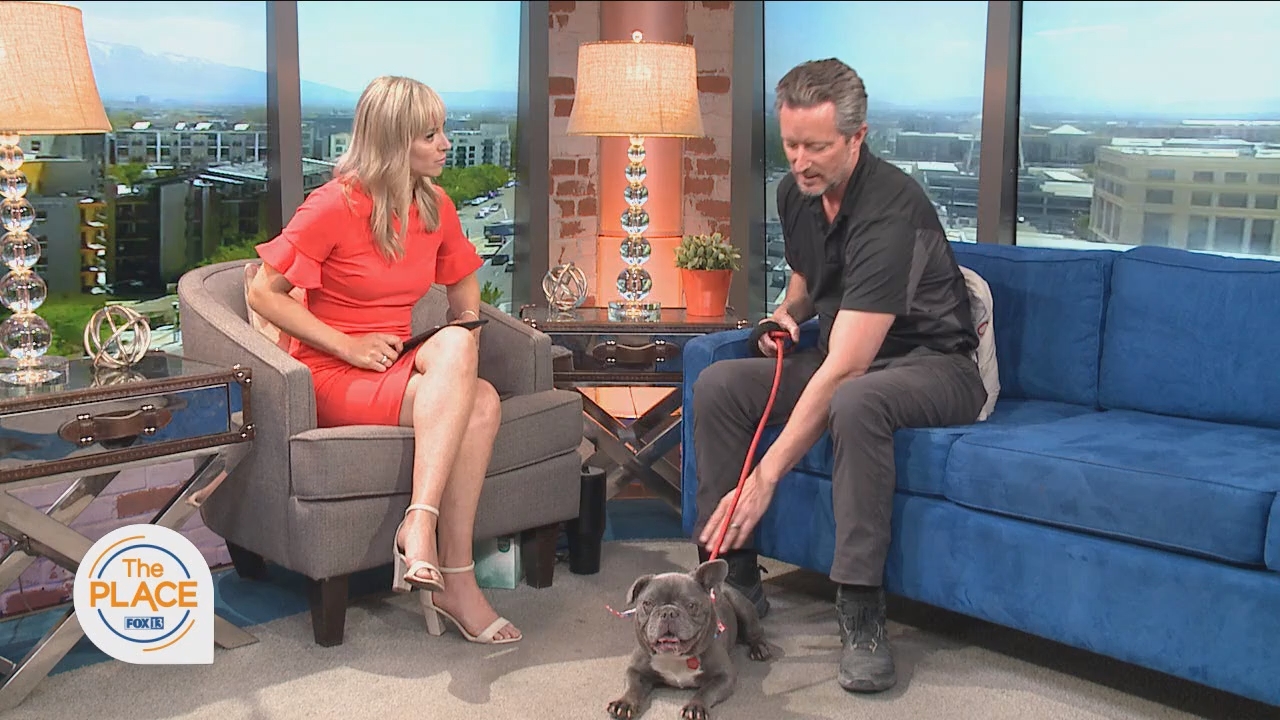 04 25 20 00 00 The Place The PLACE, FOX 13's lifestyle and enter ts snapshot 00 51 20 876 ...