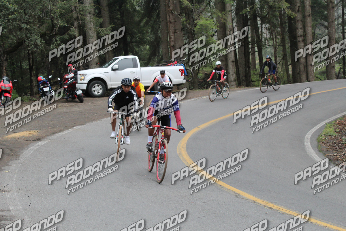 IMG 1708 wm 7333997 7 watermarked — Postimages