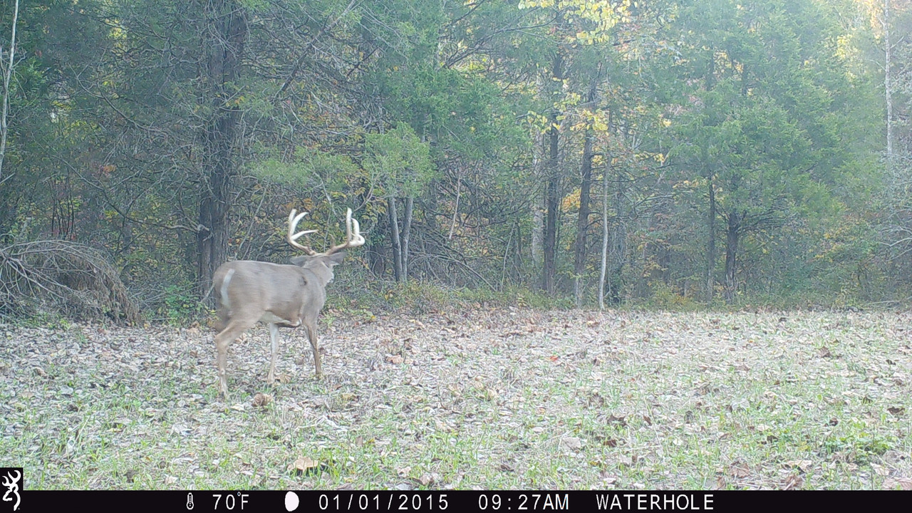 IMG 0207 — Postimages