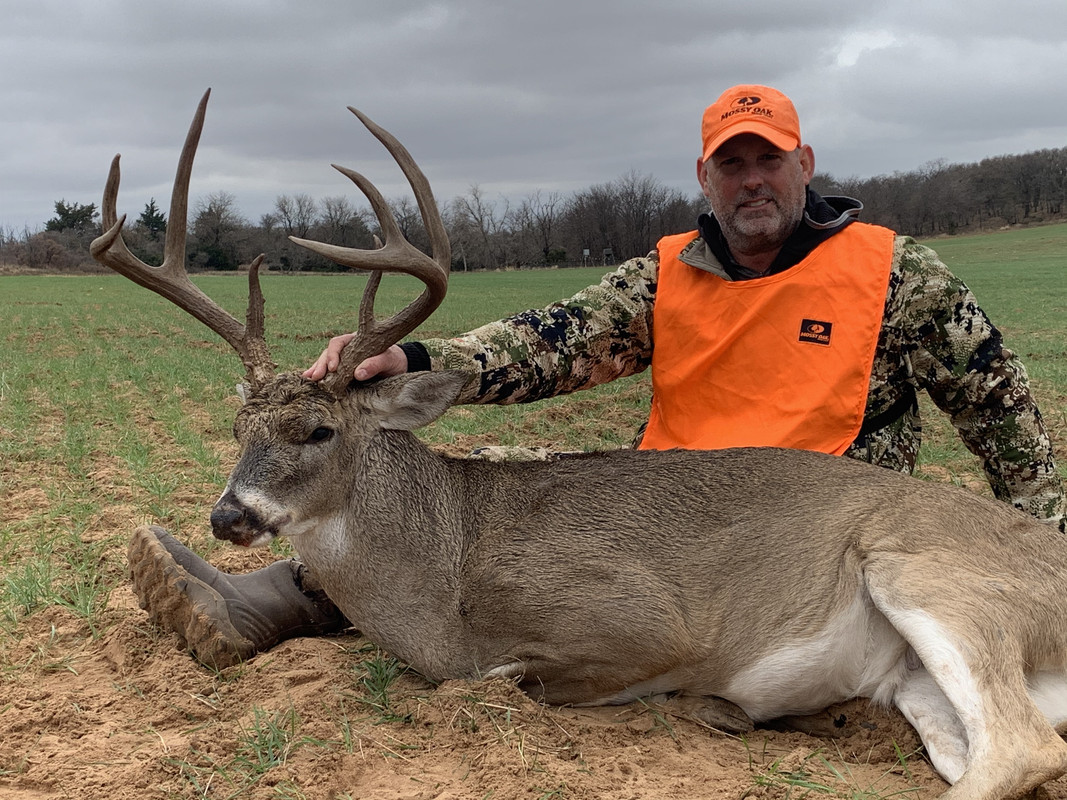 3169 AC33 8402 4 C61 ACA1 7 AA03 B34 DD64 — Postimages