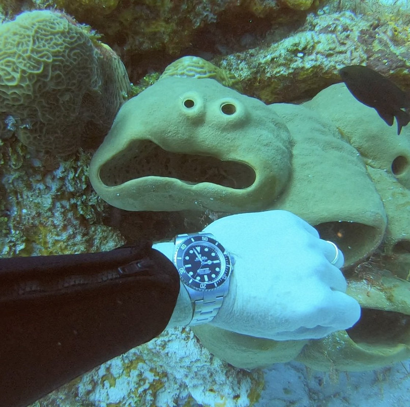 84008 A1 D DCD2 4 E97 8 A7 F 266 A91270 E62 — Postimages