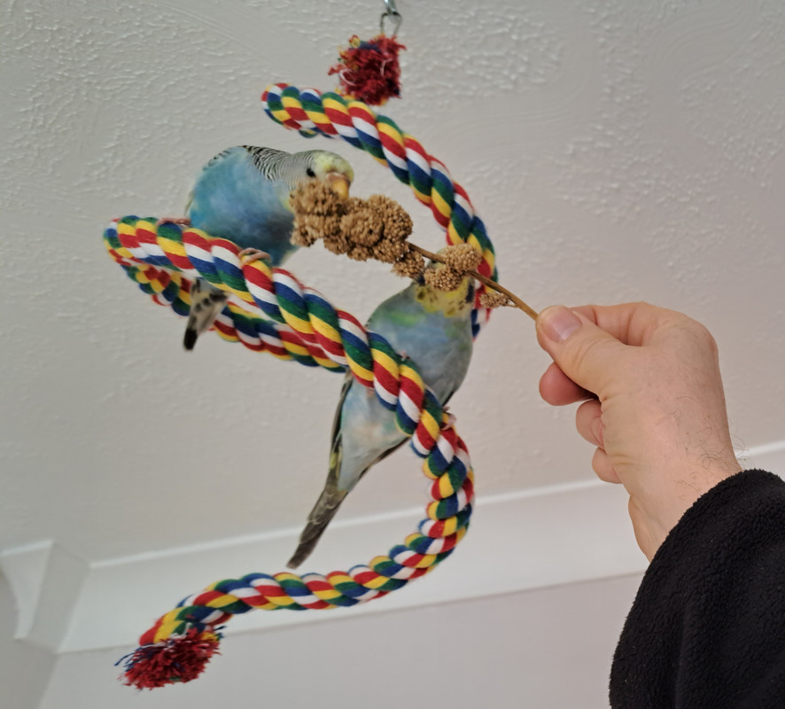 20230406 170930 — Postimages