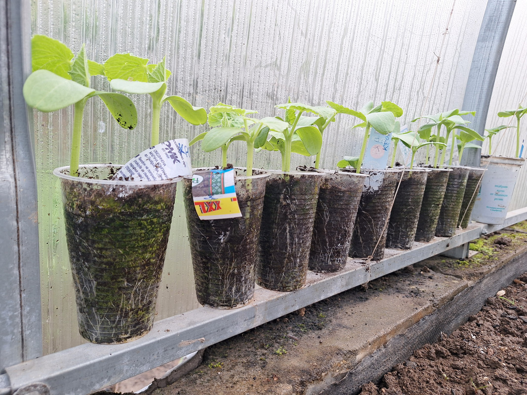 20240426 071335 — Postimages