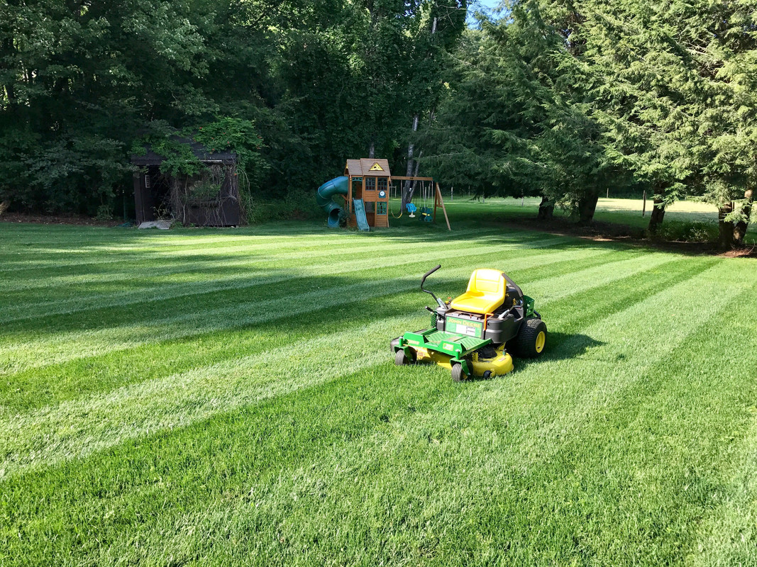 B601 B3 B9 EC46 469 B 85 D3 FE431 AF876 D3 — Postimages